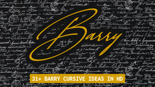 Barry in Cursive ⚡ | 100+ Signature Ideas 2025