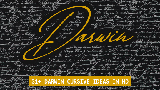 Darwin in Cursive ⚡ | 100+ Signature Ideas 2025