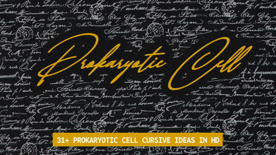 Prokaryotic Cell in Cursive ⚡ | 100+ Signature Ideas 2025